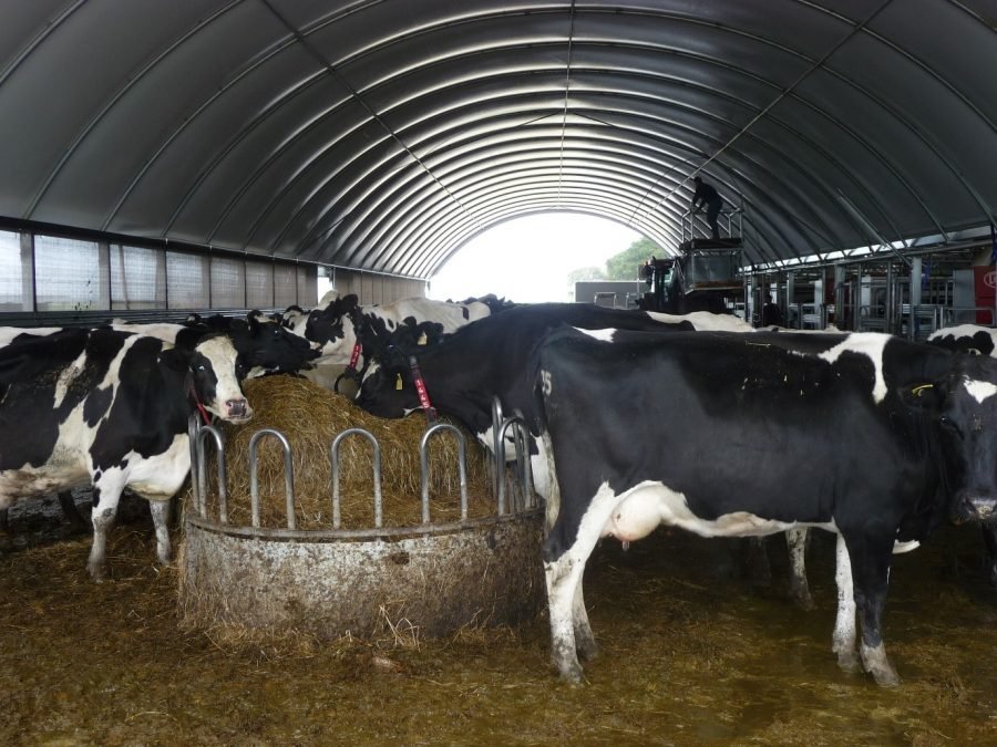 What are livestock covers? - Westarp